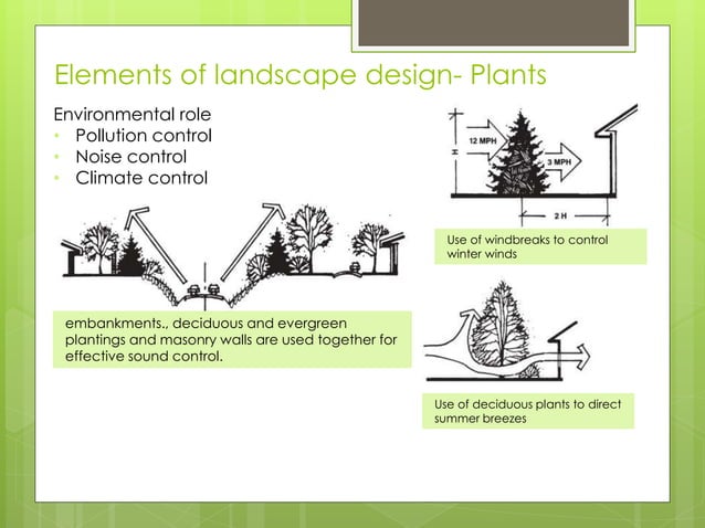 Elements of landscape | PPTX