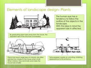Elements of landscape | PPT