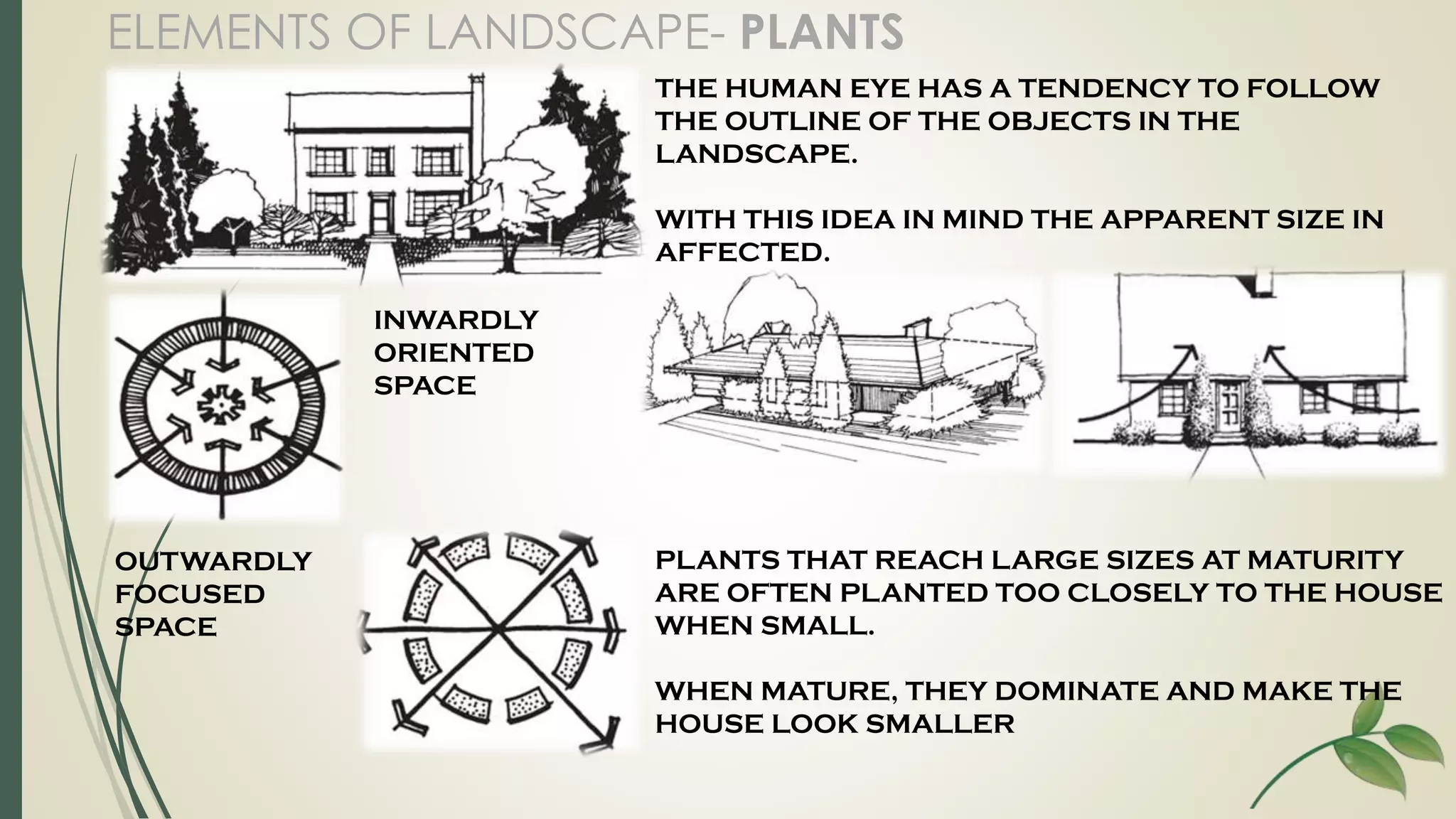 Elements of landscape design | PPTX