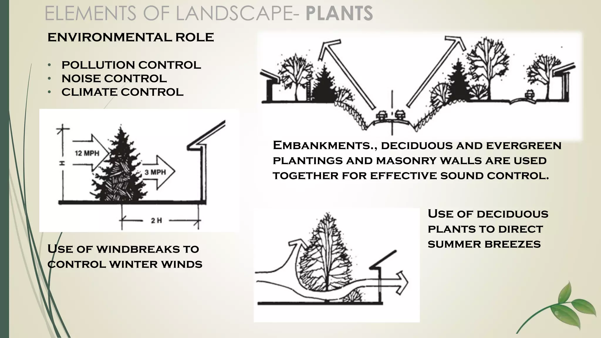 Elements of landscape design | PPTX