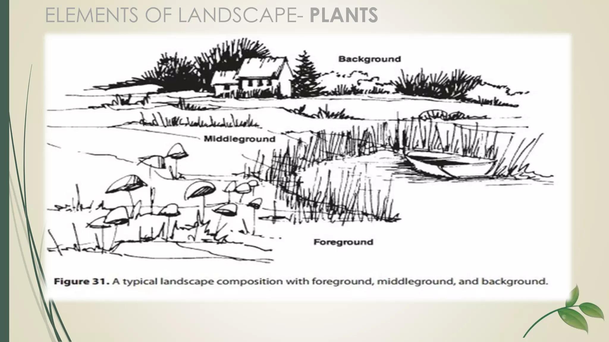 Elements of landscape design | PPTX