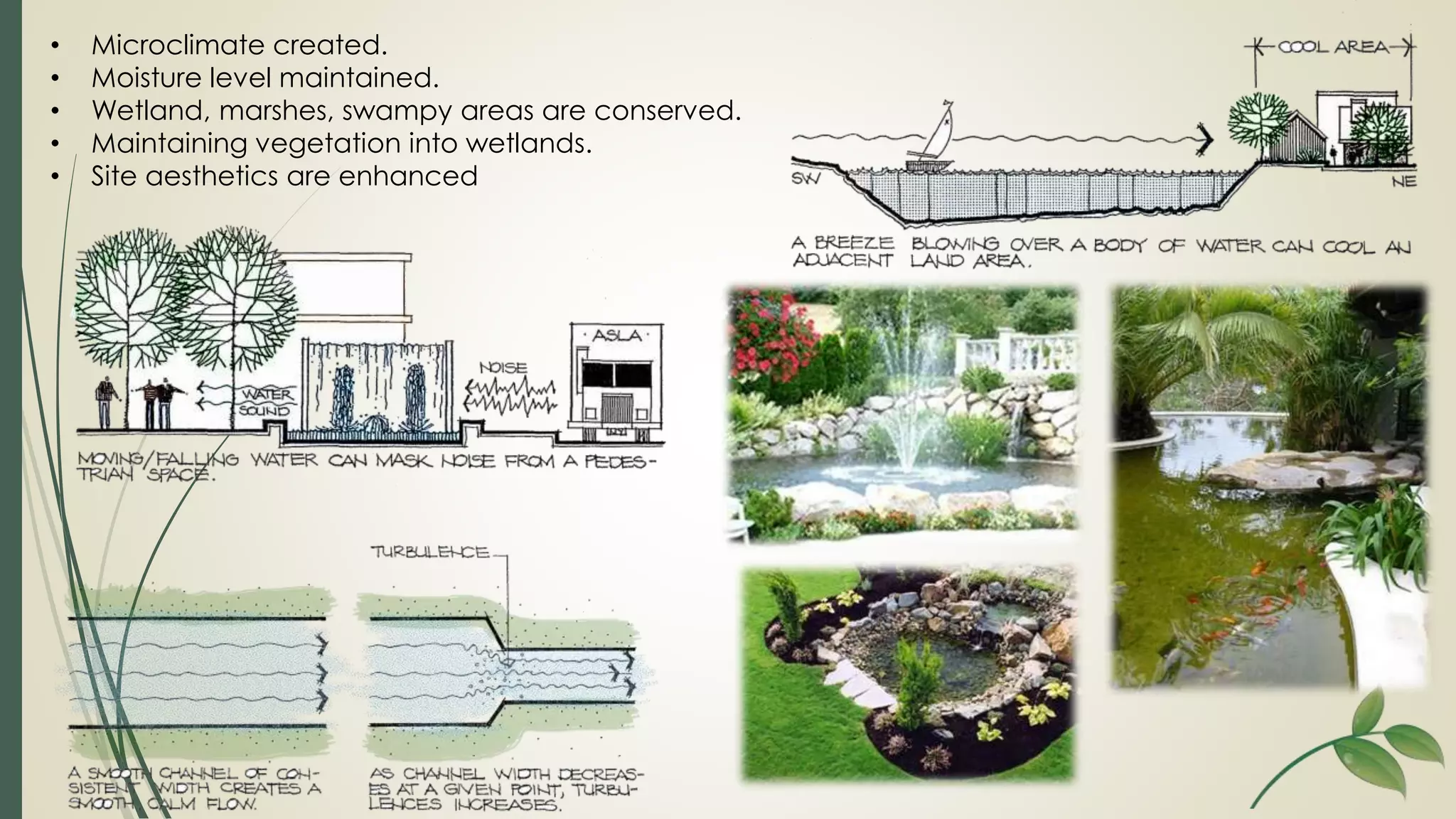 Elements of landscape design | PPTX