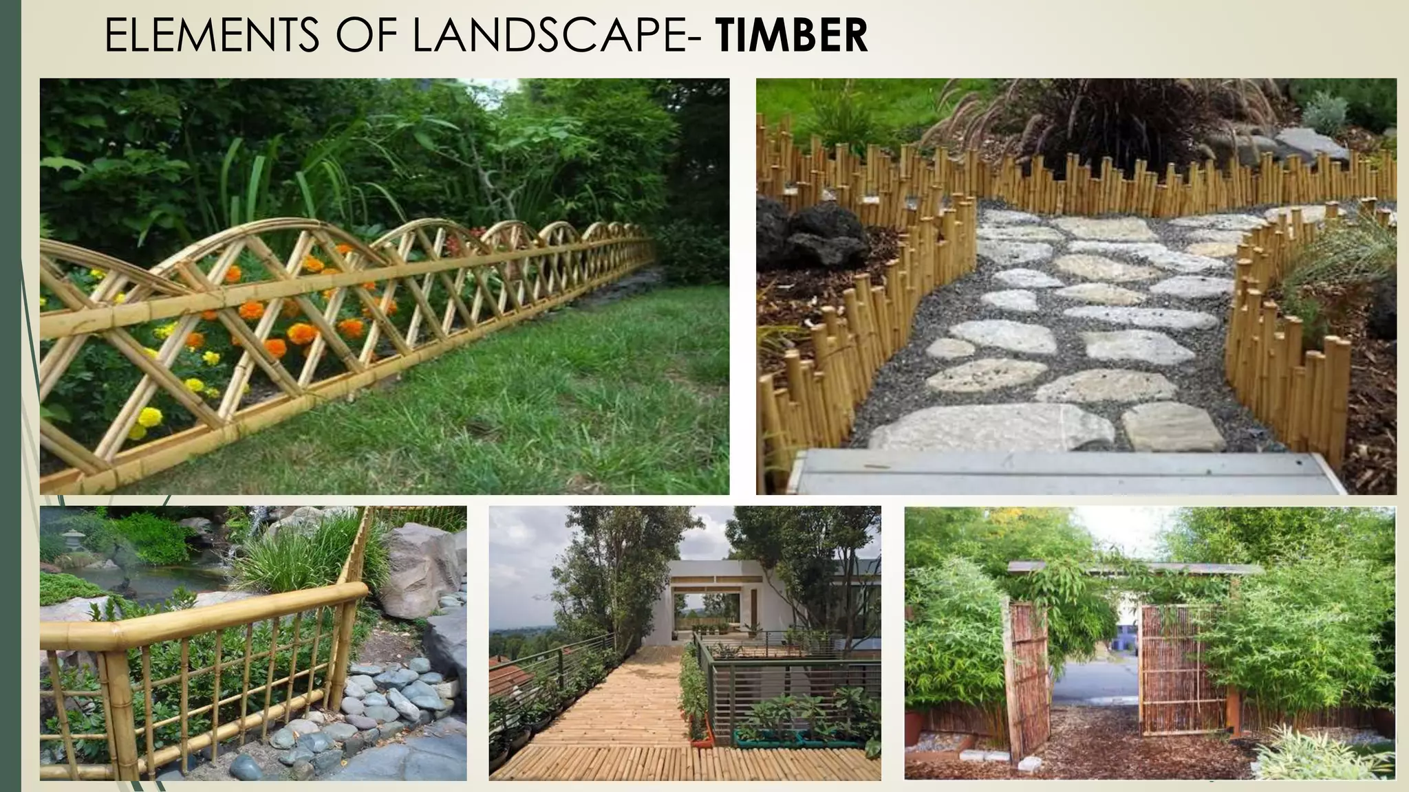 Elements of landscape design | PPTX