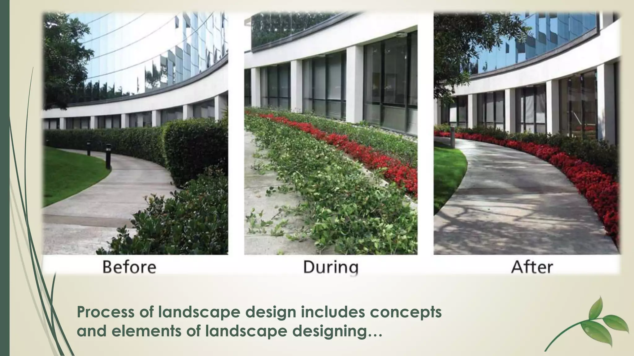 Elements of landscape design | PPTX
