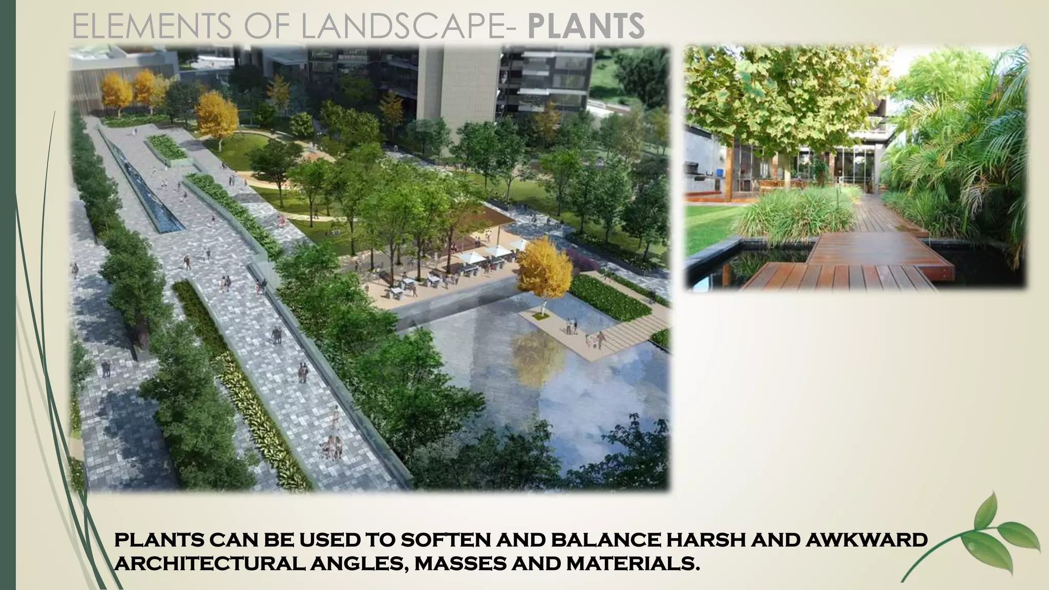 Elements of landscape design | PPTX