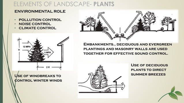 Elements of landscape design | PPTX | Landscaping | Home & Garden