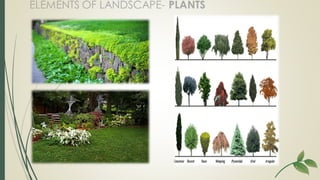 Elements of landscape design | PPTX