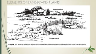 Elements of landscape design | PPTX