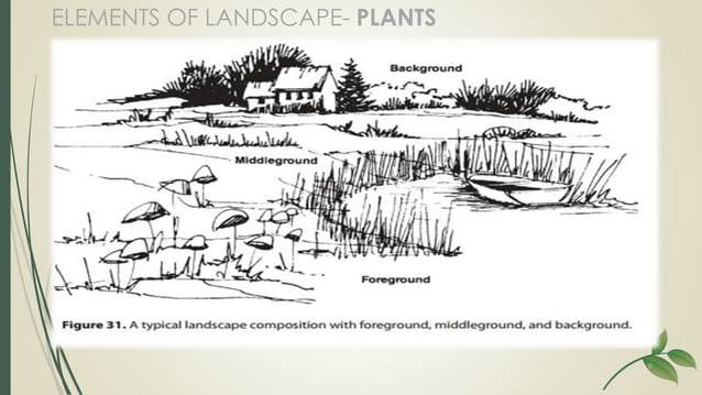 Elements of landscape design | PPTX | Landscaping | Home & Garden