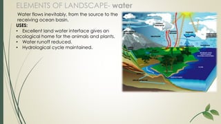 Elements of landscape design | PPTX