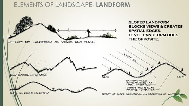 Elements of landscape design | PPTX | Landscaping | Home & Garden
