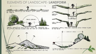 Elements of landscape design | PPTX