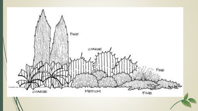 Elements of landscape design | PPTX | Landscaping | Home & Garden