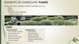 Elements of landscape design | PPTX
