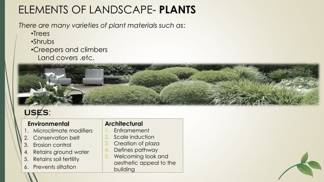 Elements of landscape design | PPTX | Landscaping | Home & Garden