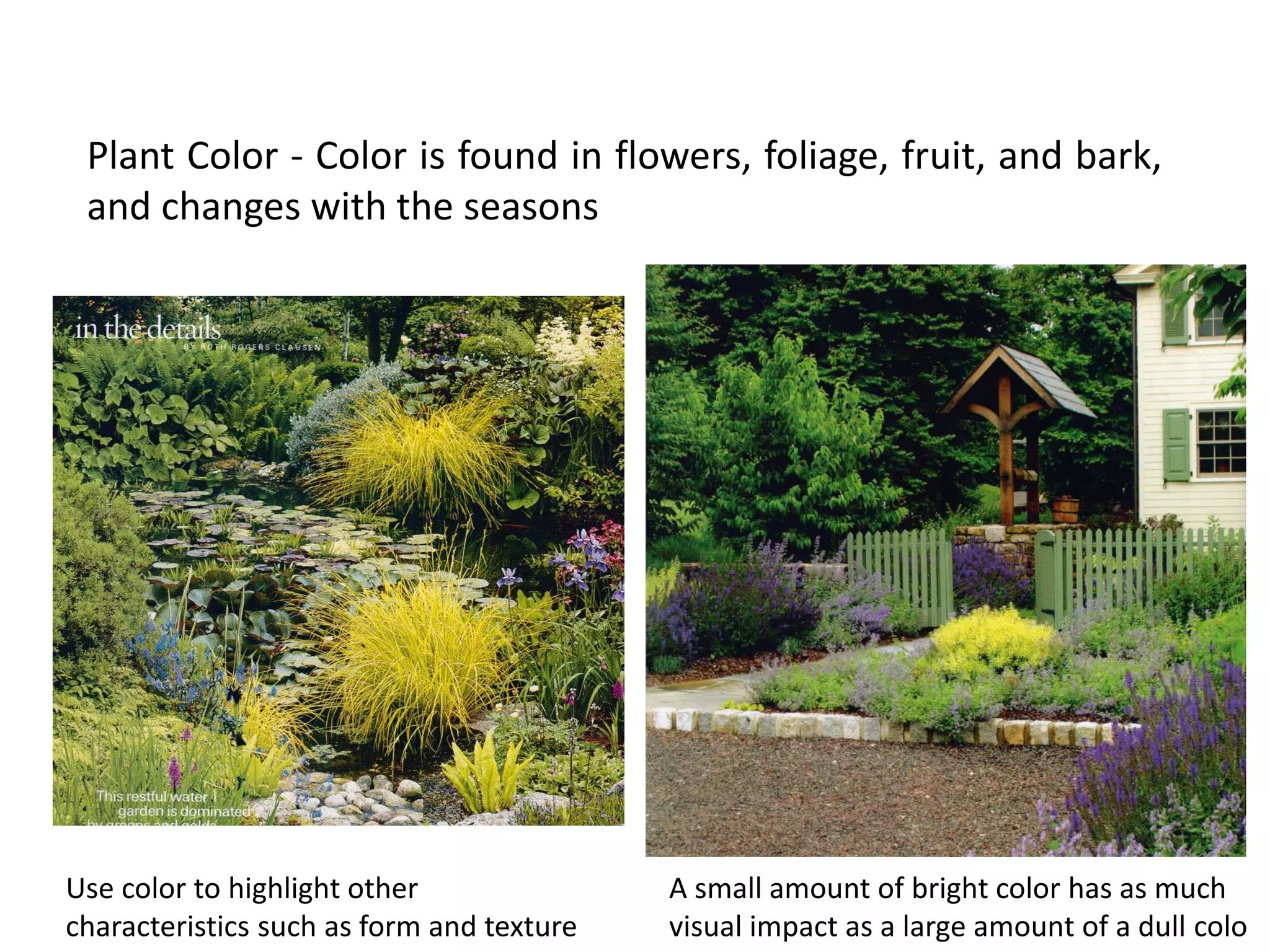 Elements of landscaping | PDF