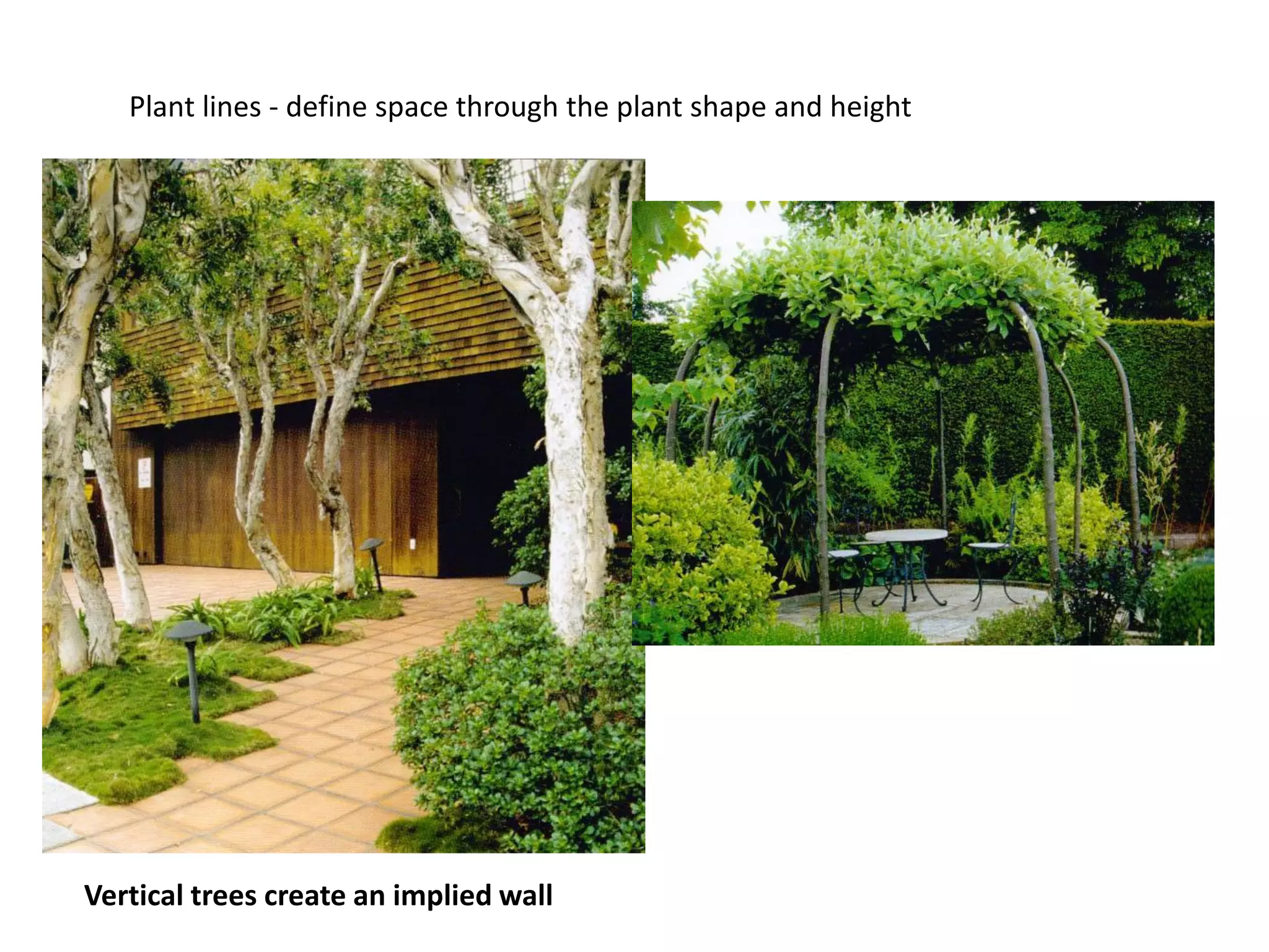Elements of landscaping | PDF