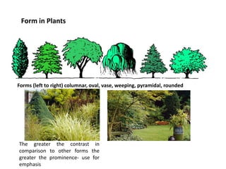Elements of landscaping | PDF