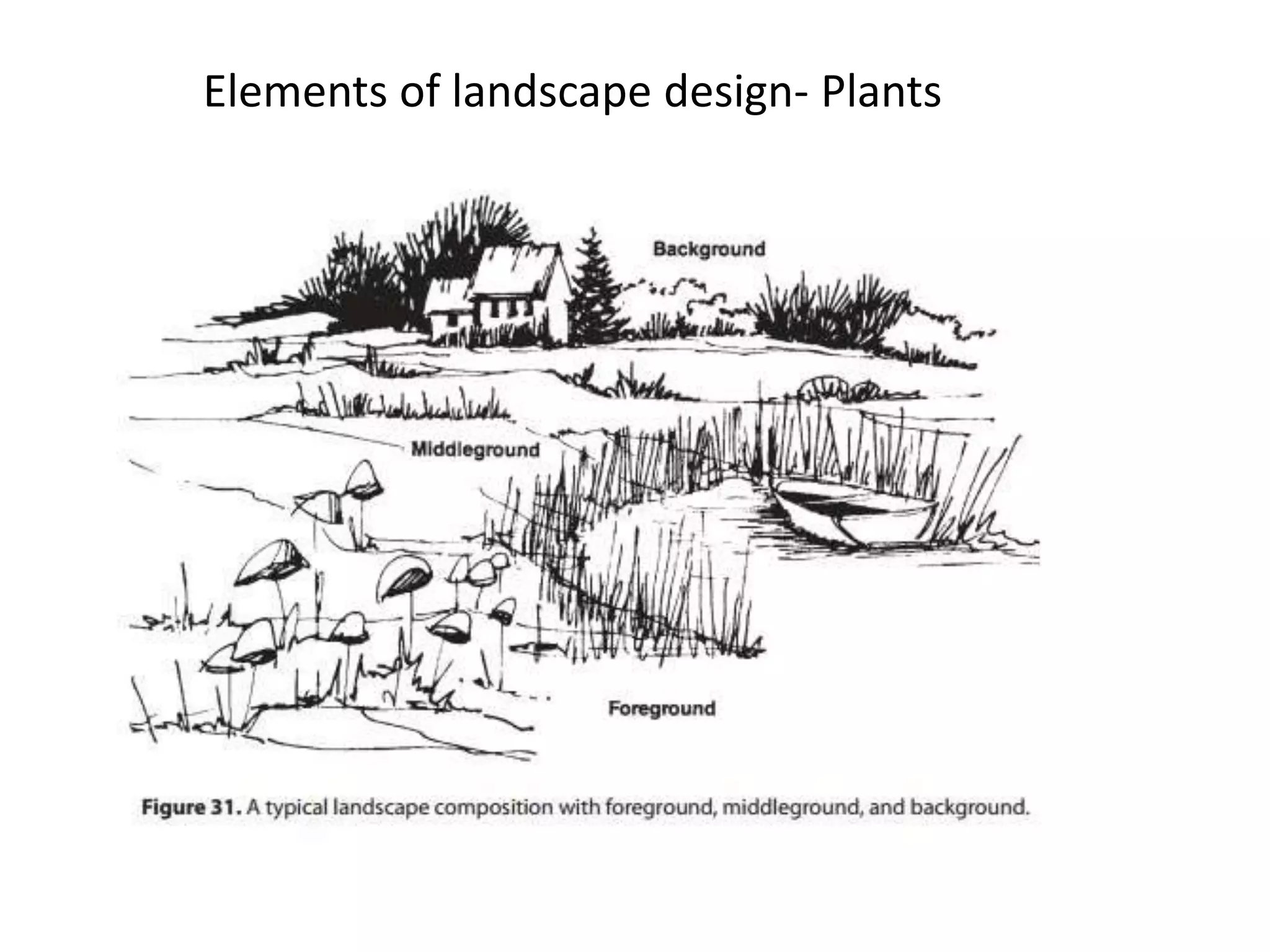 Elements of landscape | PPTX