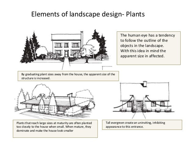 Elements of landscape