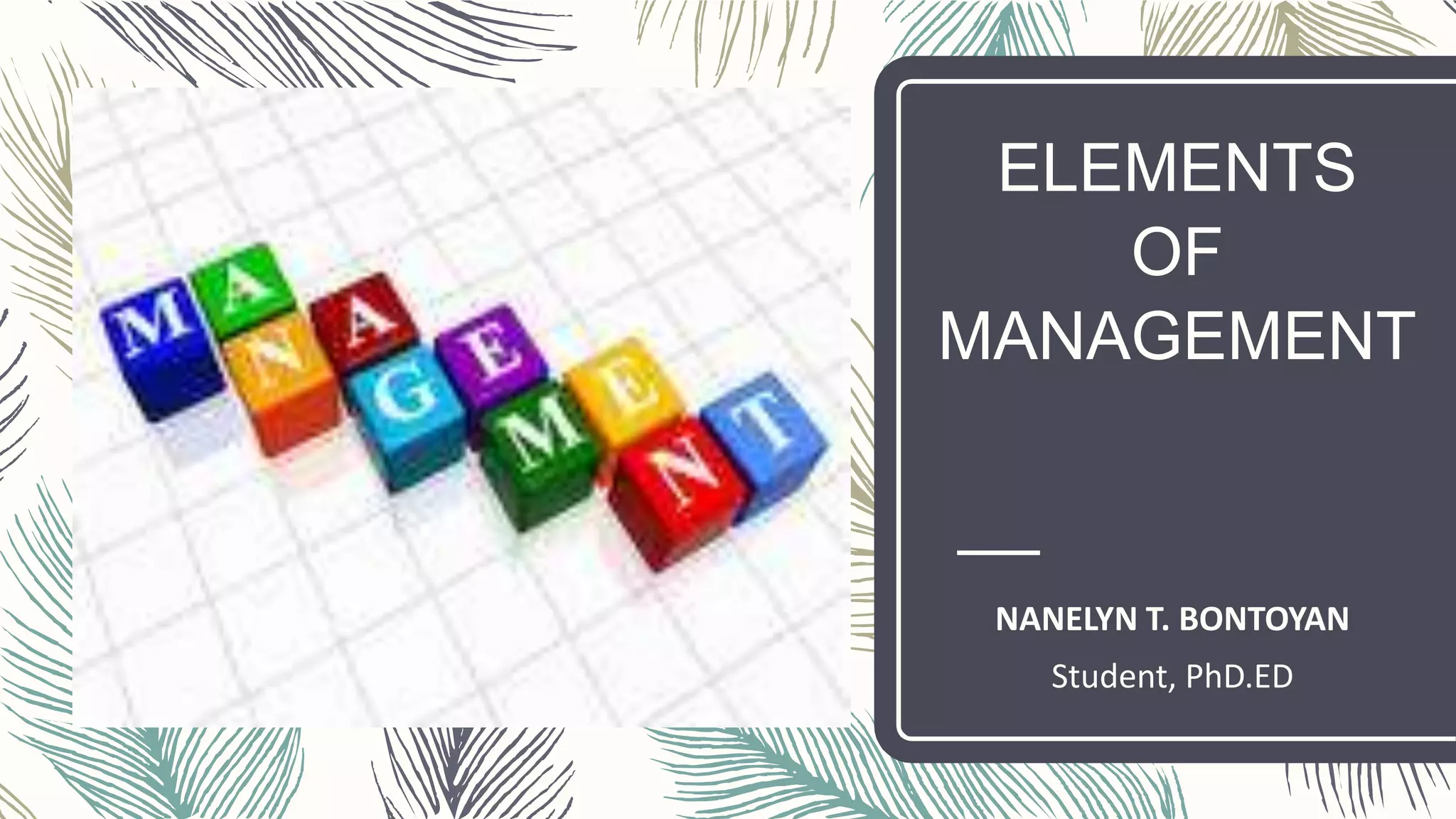 Elements of management | PPTX