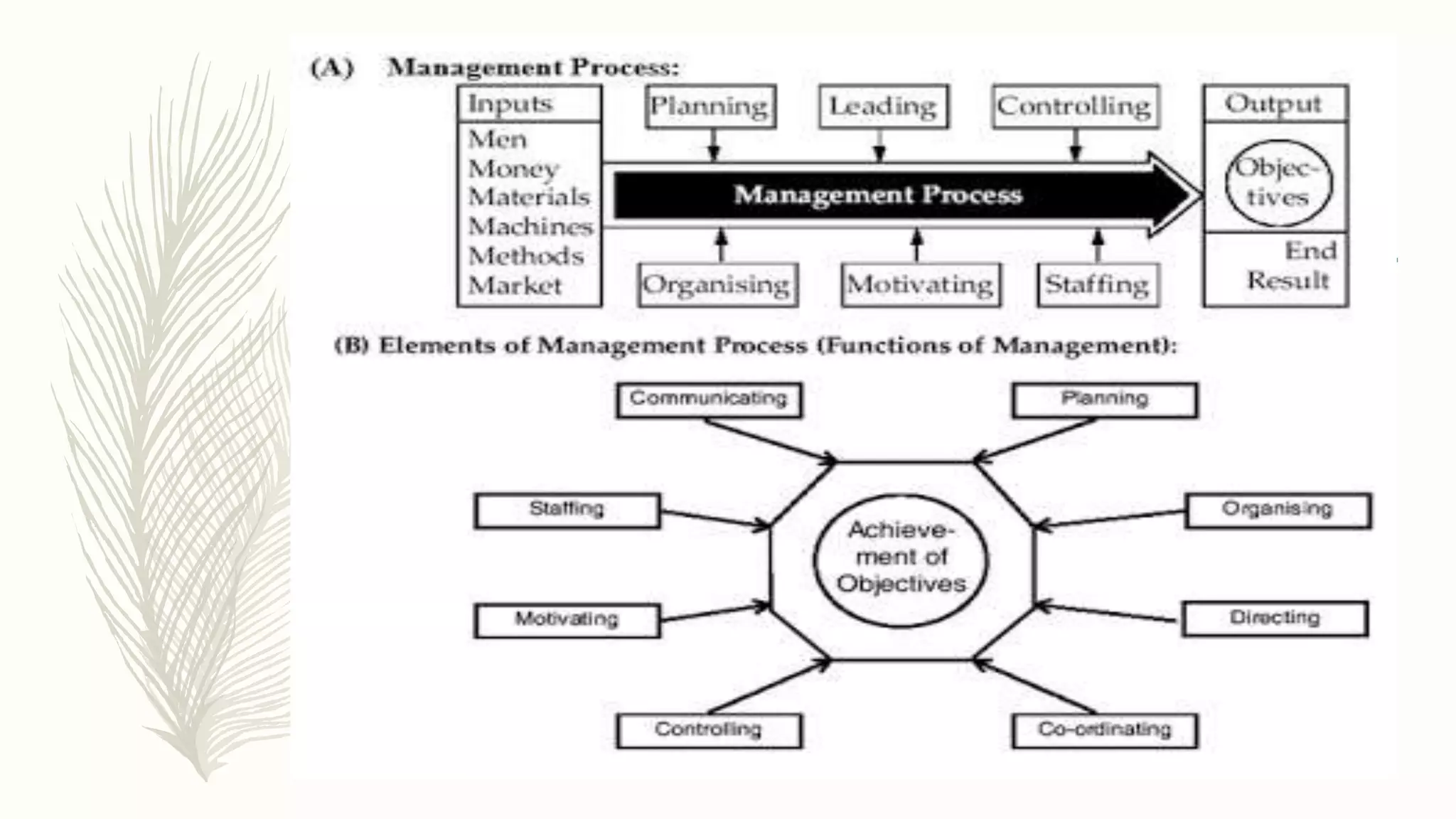 Elements of management | PPTX