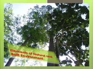 Elements of natural and built environment | PPT