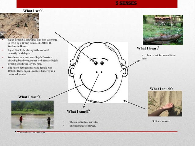 Elements of natural and built environment 2 | PPT