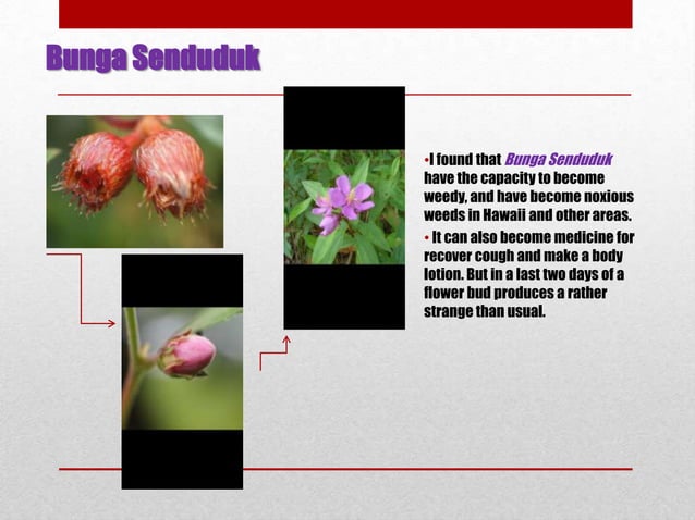 Elements of natural and built environment 2 | PPT