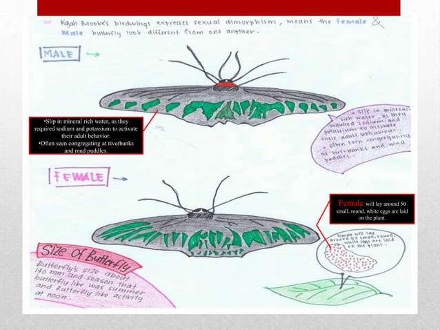 Elements of natural and built environment 2 | PPT