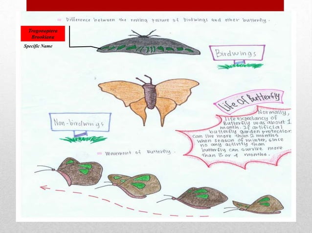 Elements of natural and built environment 2 | PPT
