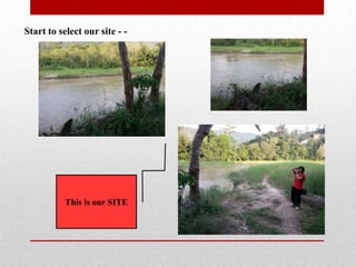 Elements of natural and built environment 2 | PPTX | Biological ...