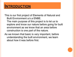 Elements of natural and built environment project one(2) | PPTX