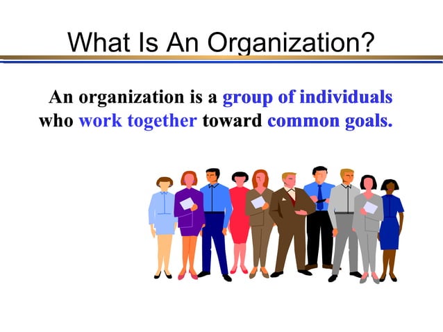 Elements of organizing | PPT