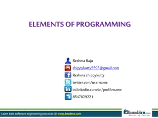 Elements of programming | PPTX