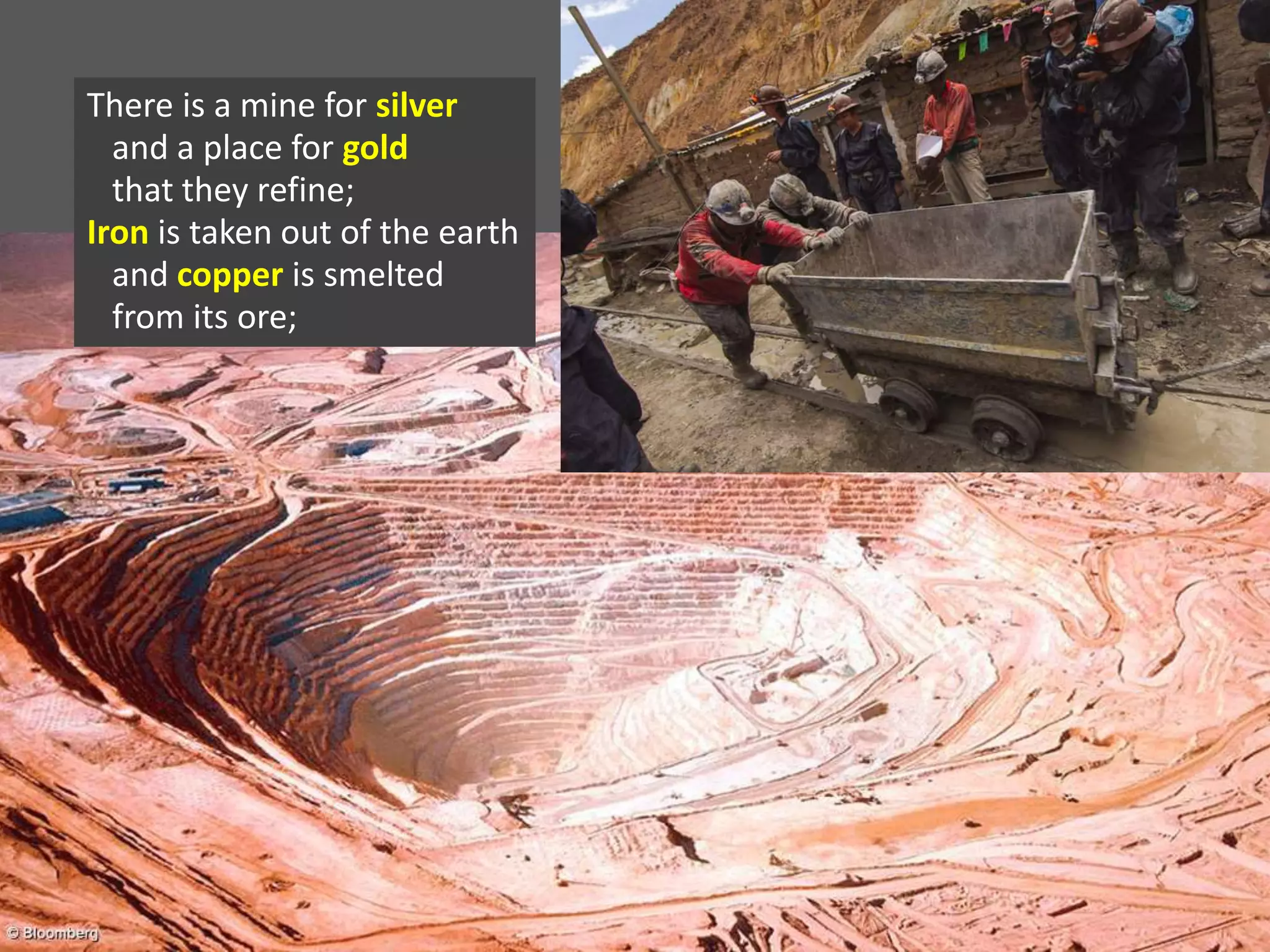 Elements of the Bible | PPTX