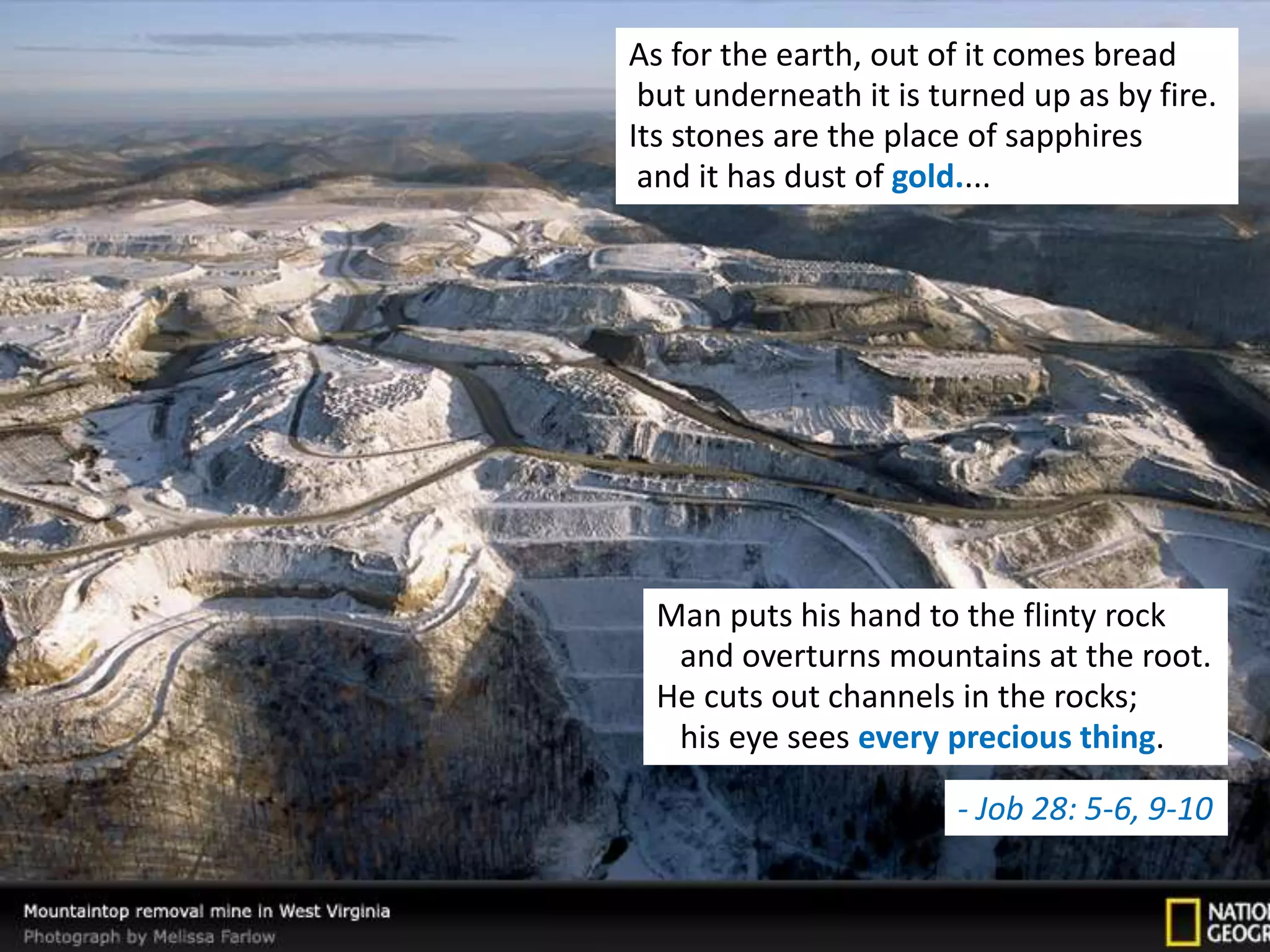 Elements of the Bible | PPTX