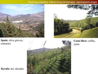 Elements of the rural landscape | PPTX