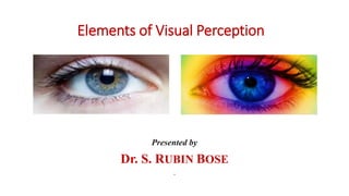 Elements of Visual Perception.pptx