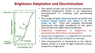 Elements of Visual Perception.pptx
