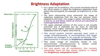 Elements of Visual Perception.pptx