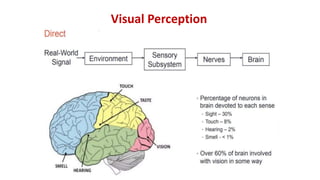 Elements of Visual Perception.pptx