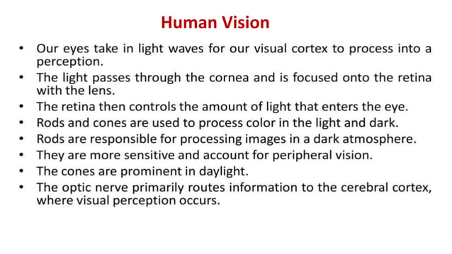 Elements of Visual Perception.pptx