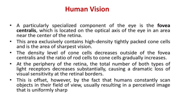Elements of Visual Perception.pptx