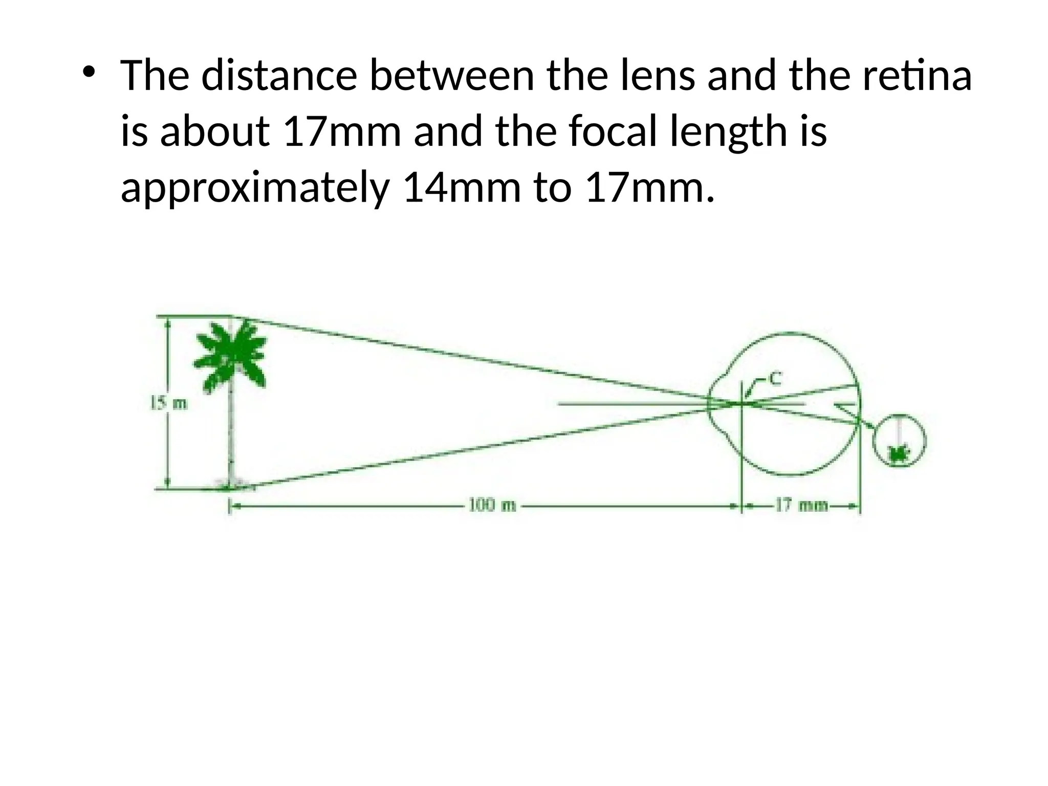Elements of Visual Perception in digital image processing | PPTX