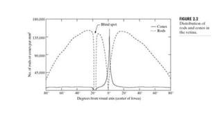 Elements of module 1 Visual Perception.pdf