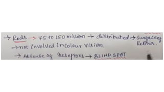 Elements Of Module 1 Visual Perception Pdf