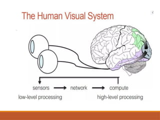 Elements of visual perception in digital image processing | PPT