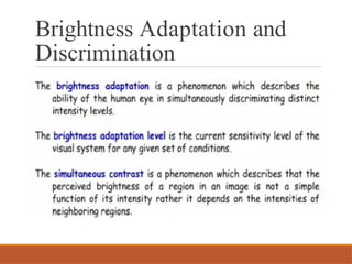 Elements of visual perception in digital image processing | PPTX