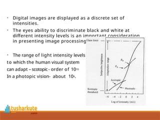 Elements of visual perception in digital image processing | PPTX